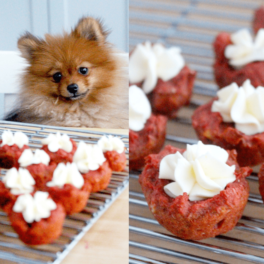 Red Velvet Cupcakes FOR DOGS - Fluffy Delicious
