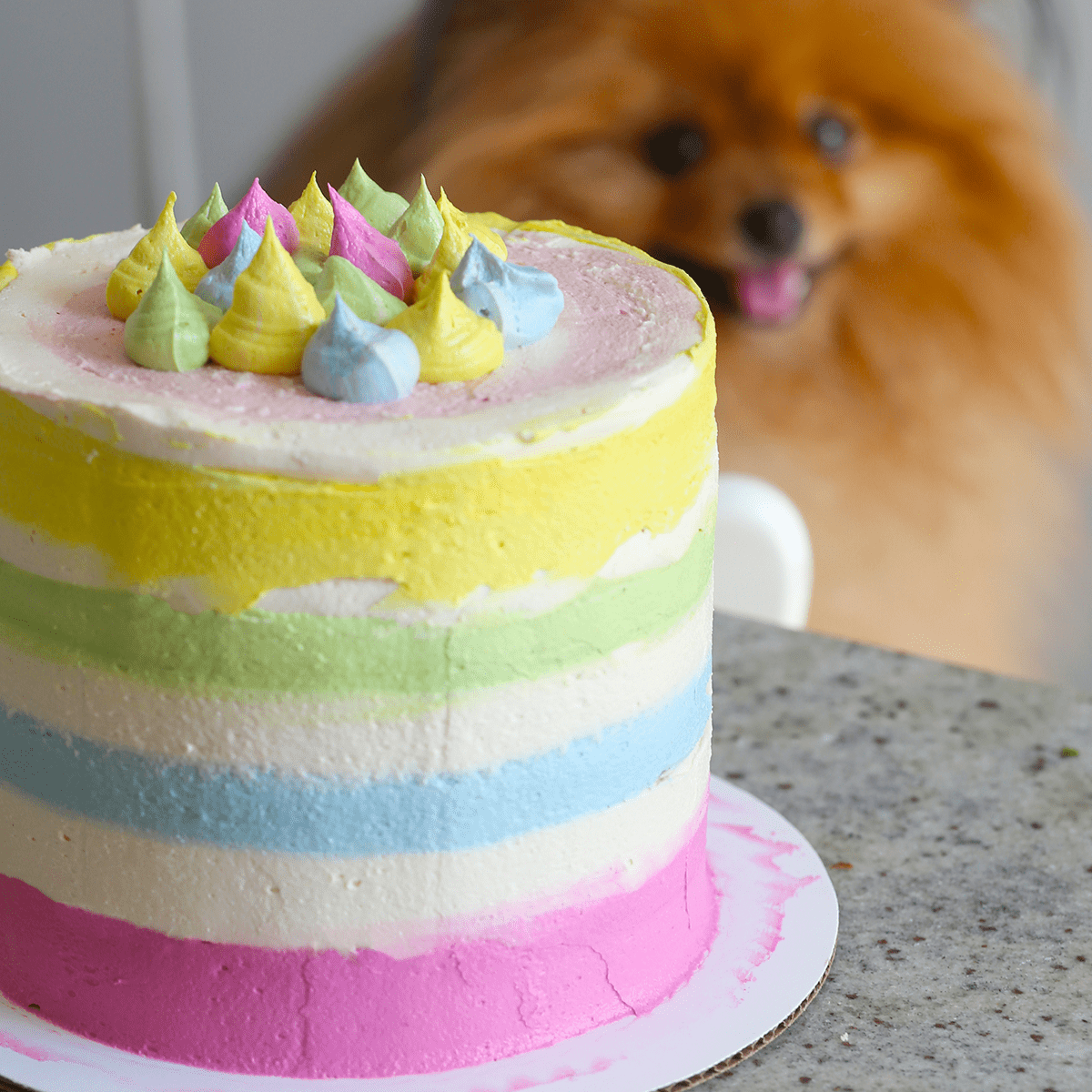 Rainbow Dog Birthday Cake - Fluffy Delicious